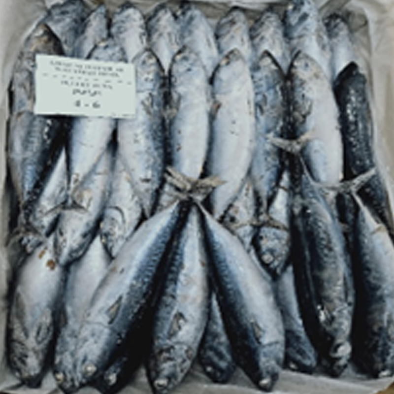 Tuna balls - BMT AFRICA