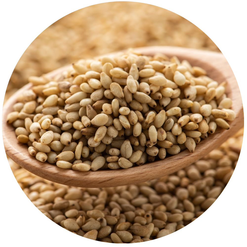 Nos produits - BMT AFRICA